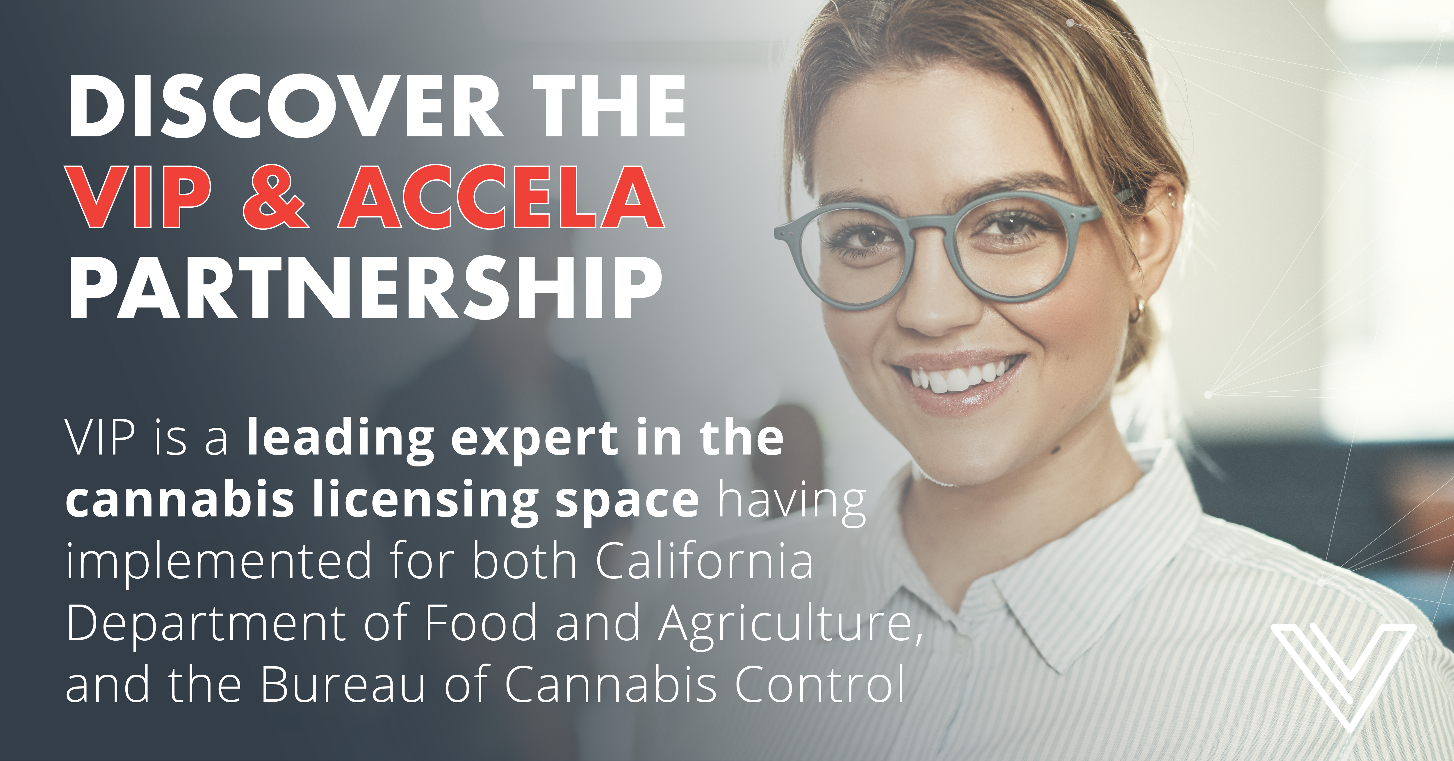 Blog Archives - Visionary Integration Professionals